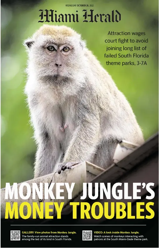 MONKEY JUNGLE’S MONEY TROUBLES - PressReader