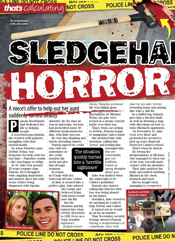 SLEDGEHAMM­ER HORROR - PressReader