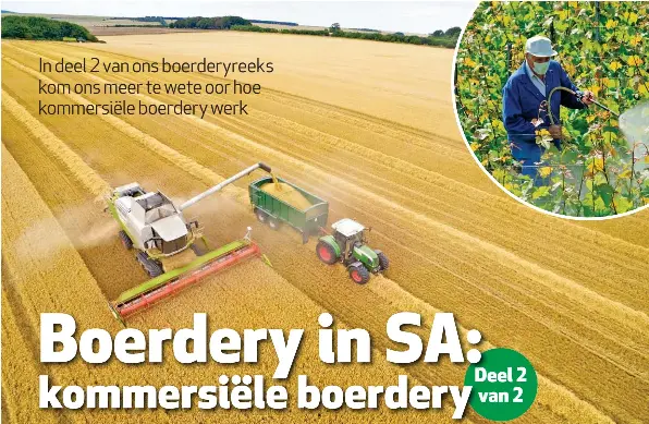Boerdery in SA: kommersiël­e boerdery - PressReader