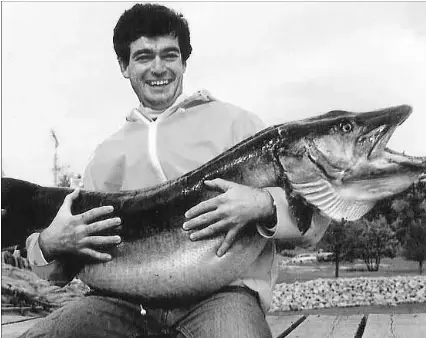 CSI expert uncovers muskie mendacity - PressReader