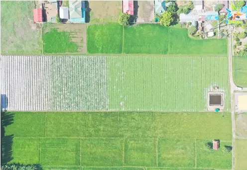 Israel props Philippine agri sector — and how?! - PressReader