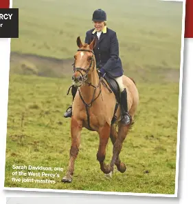 A day’s hunting with... the West Percy - PressReader