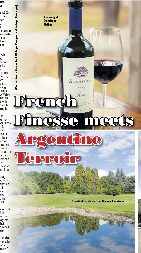 French Finesse meets Argentine Terroir - PressReader