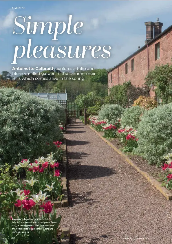 SIMPLE PLEASURES - PressReader