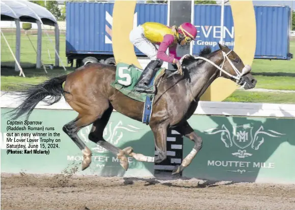 Captain Sparrow makes triumphant return in Mr Lover Lover Trophy - PressReader