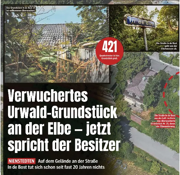 Verwuchert­es Urwald-Grundstück an der Elbe — jetzt spricht der ...