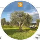 TOUR ESSENTIALS - PressReader