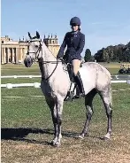 Showjumper back in the saddle after major accident - PressReader