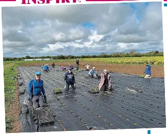 THE FARM THAT COULD SAVE LIVES - PressReader
