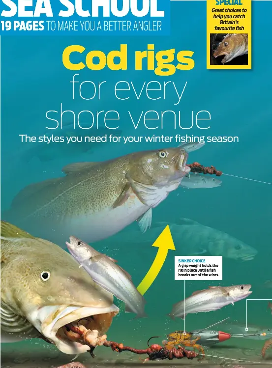 COD RIGS - PressReader