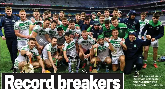 Record breakers Ballyhale made to work for win - PressReader