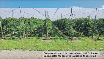 East Coast growth for Craigmore - PressReader