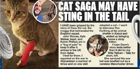 CAT SAGA MAY HAVE STING IN THE TAIL - PressReader