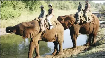 Price distortion­s give tourism sector headache - PressReader