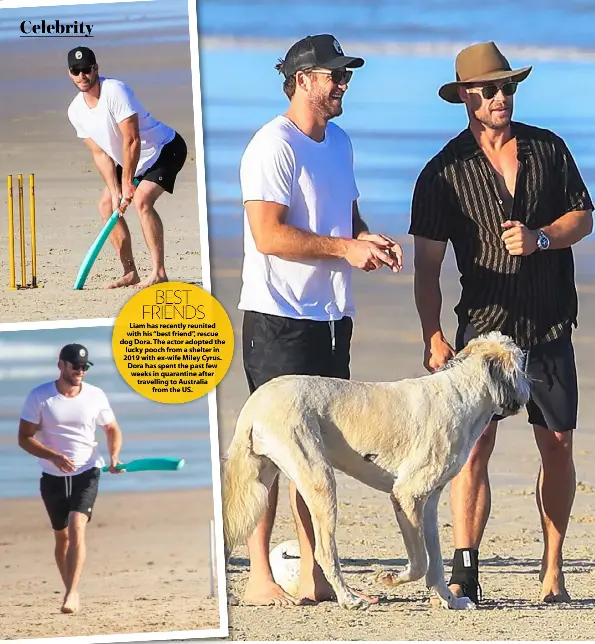 FUN IN THE SUN! - PressReader