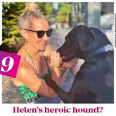 Helen’s heroic hound? - PressReader