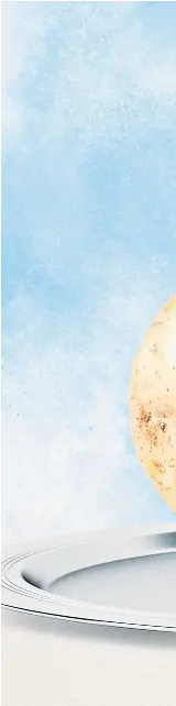 In spud we trust: say hello to a new carb hero - PressReader