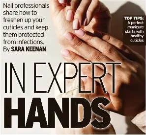 IN EXPERT HANDS - PressReader