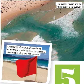 WHAT ARE RIP CURRENTS? - PressReader