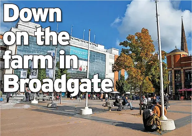 Down on the farm in Broadgate - PressReader