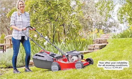 Safe, easy to start rover for every family - PressReader