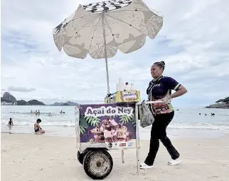 National fruit label acai seen warding off ‘ biopiracy’ - PressReader