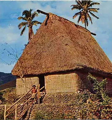 Bure Designs: Bringing Tradition and New Ideas to Fiji’s Buildings ...