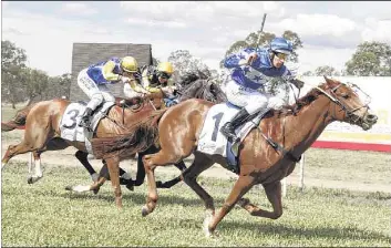 Delightful day for Mansfield races - PressReader