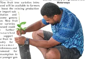 Farmers in Soa Learn More About Fruit Trees - PressReader