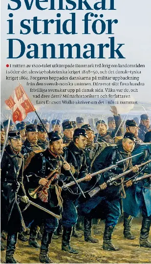 Svenskar i strid för Danmark - PressReader
