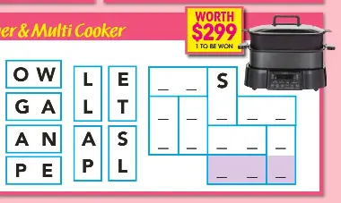 MasterPro Steamer & Multi Cooker - PressReader