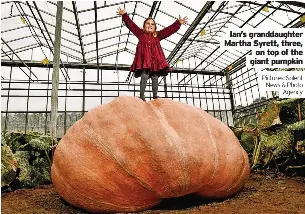 Gourd almighty - PressReader