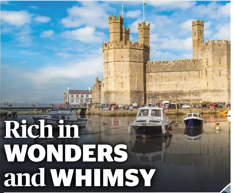 Rich in WONDERS and WHIMSY - PressReader