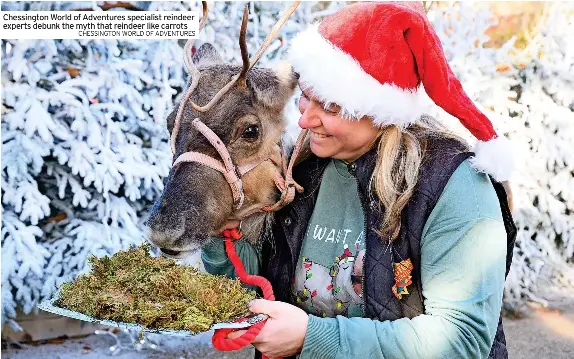 Rein in the carrots – it’s moss and lichen that Rudolph wants EXPERT ...