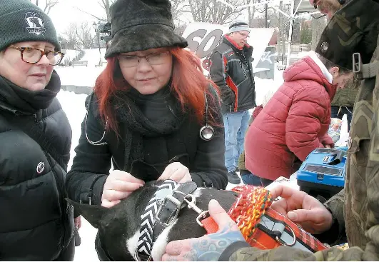 Une vétérinair­e de rue tente de sauver les pitbulls - PressReader