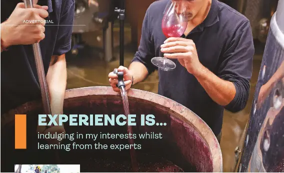 EXPERIENCE IS… - PressReader