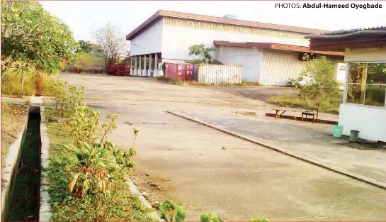 Moribund Osun cocoa plant looking to China for revival - PressReader