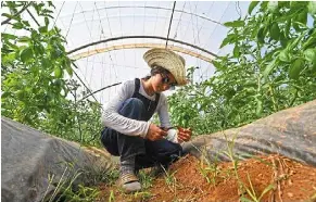 Two Algerian women pioneer eco-friendly farming - PressReader
