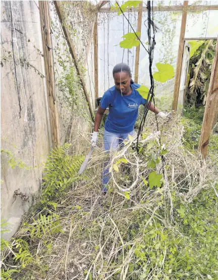 Sandals Foundation bats for peace in Steer Town - PressReader