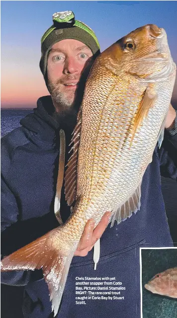 LOCAL FISHING ROUND-UP - PressReader
