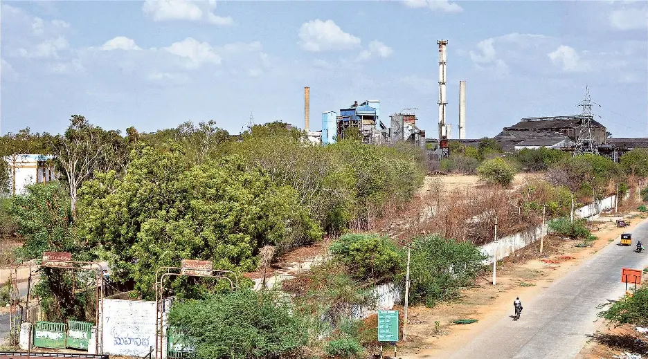 A bid to turn around sugarcane’s bitter past - PressReader