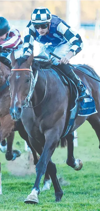 Ucalledit ready to launch in Missile - PressReader