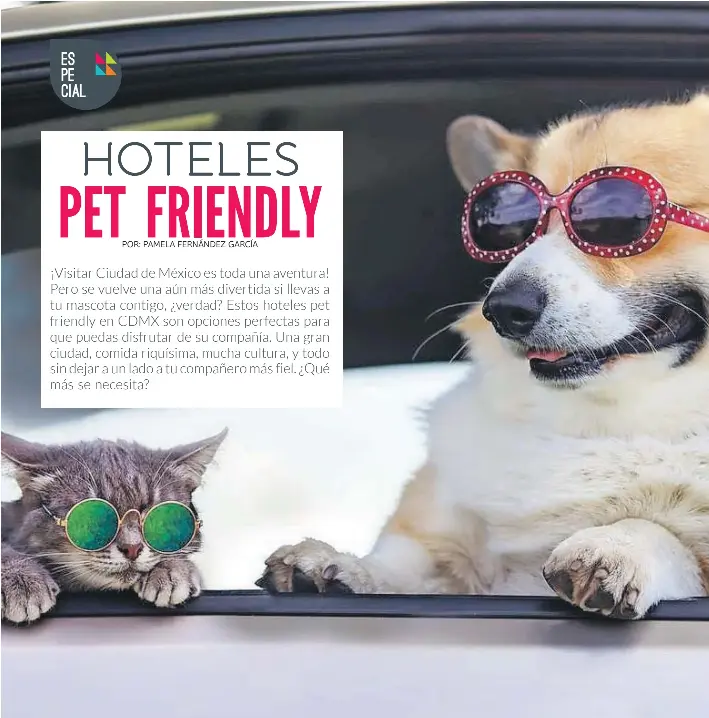 HOTELES PET FRIENDLY - PressReader