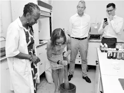 British High Commish impressed by UWI’s pioneering castor bean research ...
