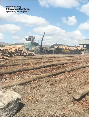 Hundreds of jobs lost as mills to shut down - PressReader