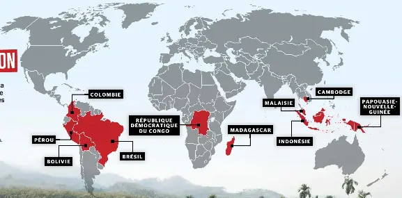 LES 10 PAYS OÙ IL Y A PLUS DE DÉFORESTAT­ION - PressReader