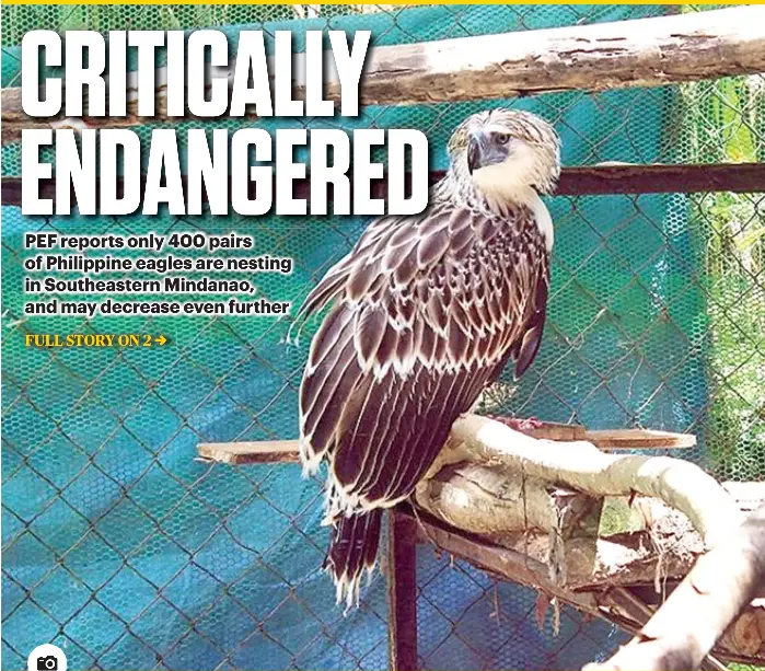 CRITICALLY ENDANGERED - PressReader