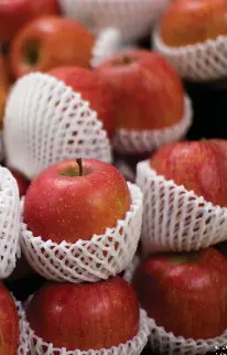 The critical role of packaging in food safety - PressReader