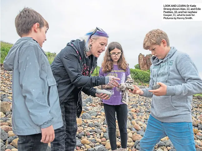 KINGDOM OF FOSSILS - PressReader