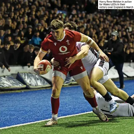 Blow for Wales with Dragons flyer ruled out - PressReader